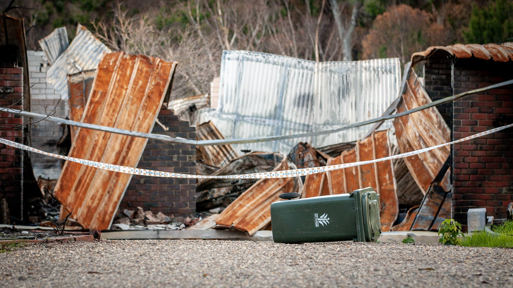 God of the harried | Telling Words